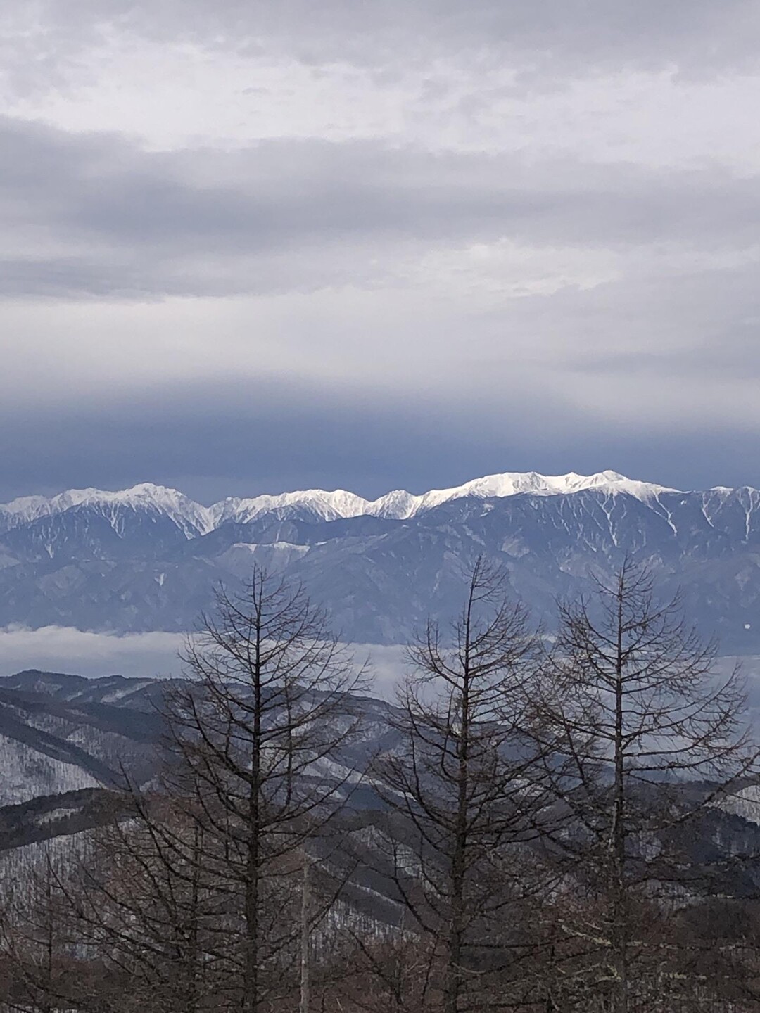 守屋山東峰・守屋山中嶽・守屋山・守屋山前嶽 / aspiさんの守屋山の活動データ | YAMAP / ヤマップ