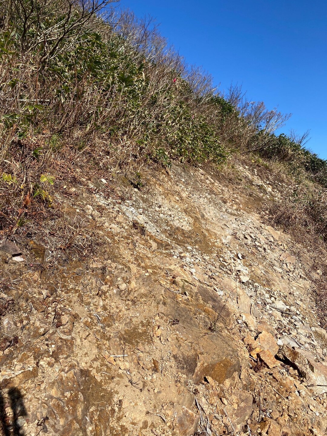 れんさんの投稿したフィールドメモ | YAMAP / ヤマップ