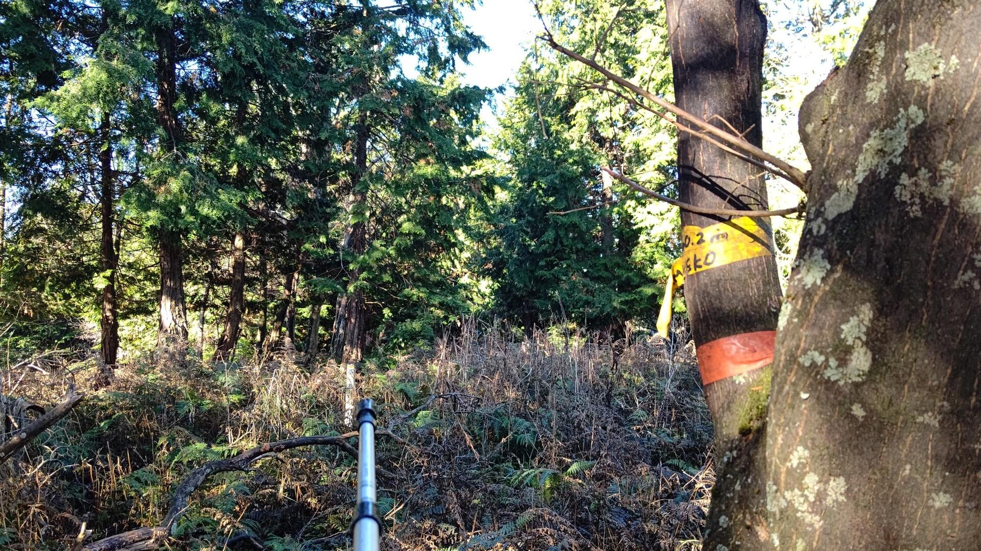 ypkunさんの投稿したフィールドメモ | YAMAP / ヤマップ