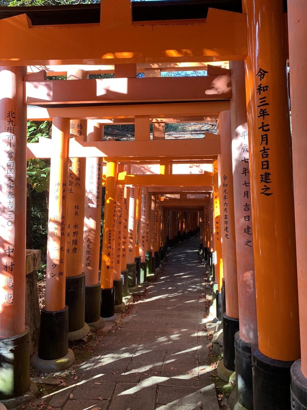 京都トレイル挑戦中 京都伏見稲荷の千本... / feel the windさんのモーメント | YAMAP / ヤマップ