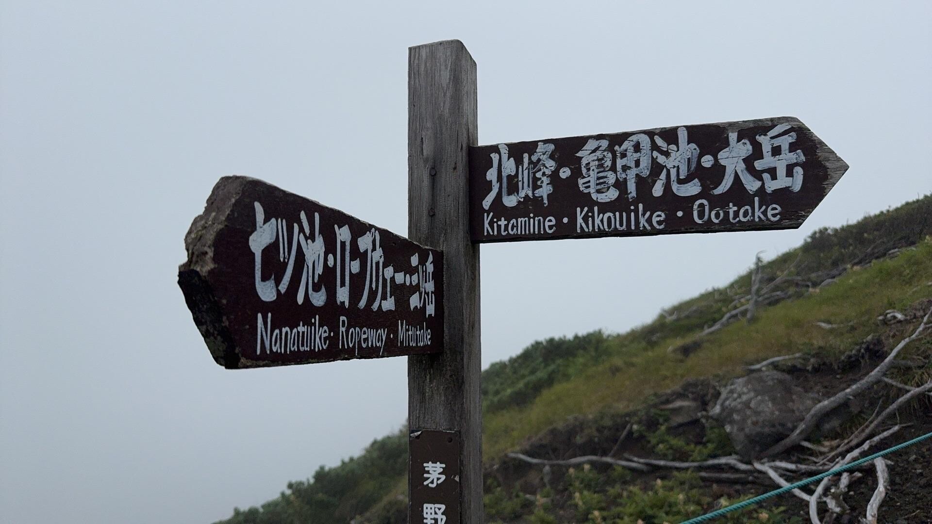 yumiさんの投稿したフィールドメモ | YAMAP / ヤマップ