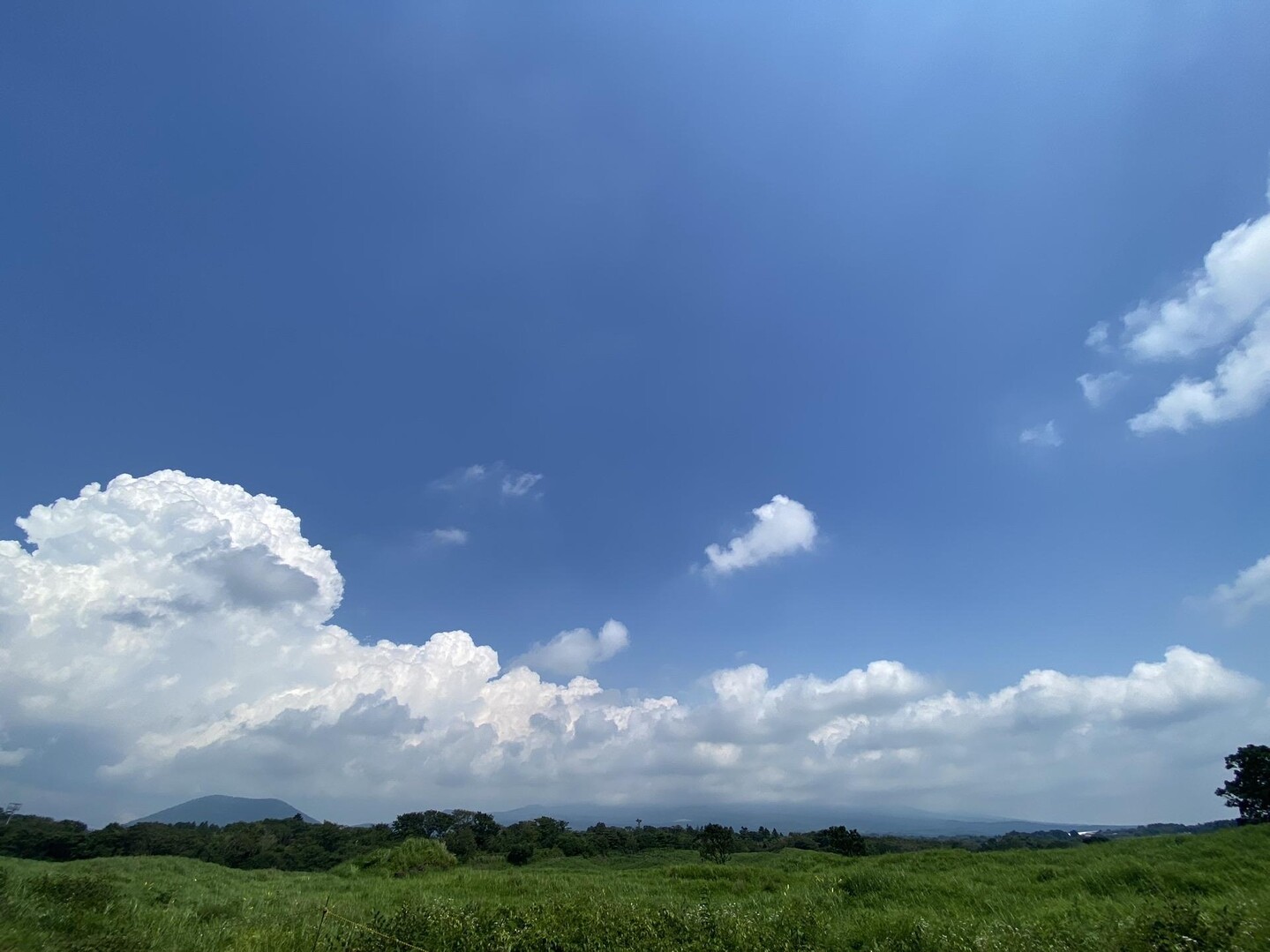 三方分山・精進山 / mahmoさんの三方分山・パノラマ台の活動データ | YAMAP / ヤマップ