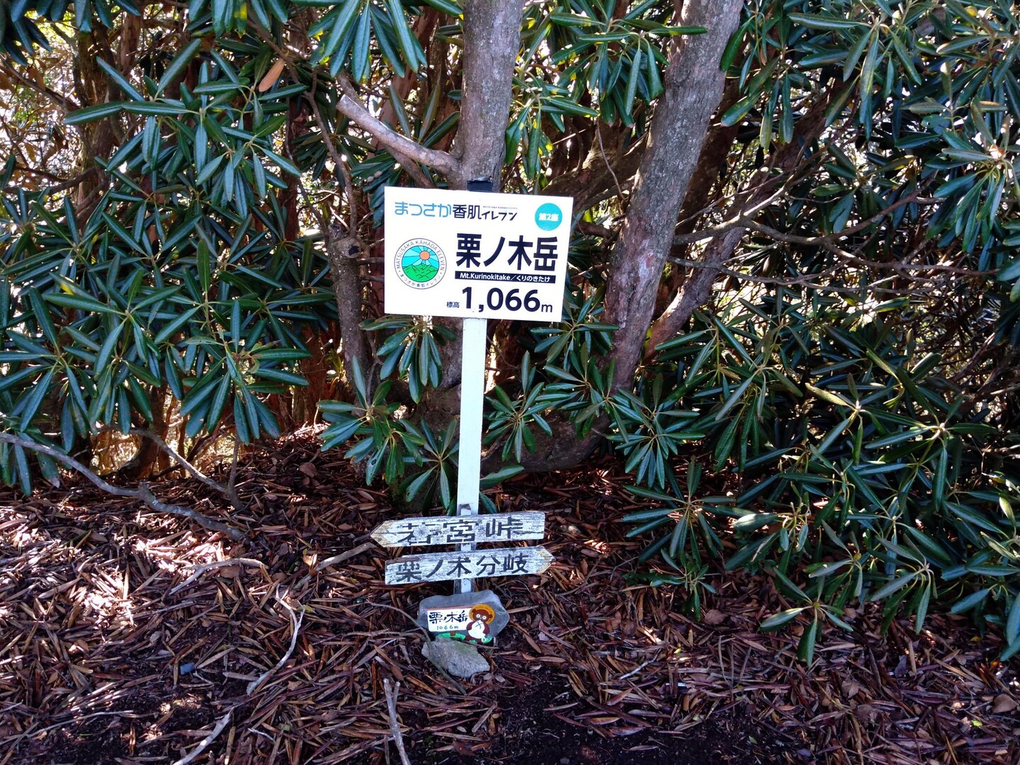 修験業山と栗ノ木岳に初めて登りました。下山中ルートを見失い、右往左往しました。 / reiさんの三峰山・学能堂山・栗ノ木岳の活動データ | YAMAP / ヤマップ