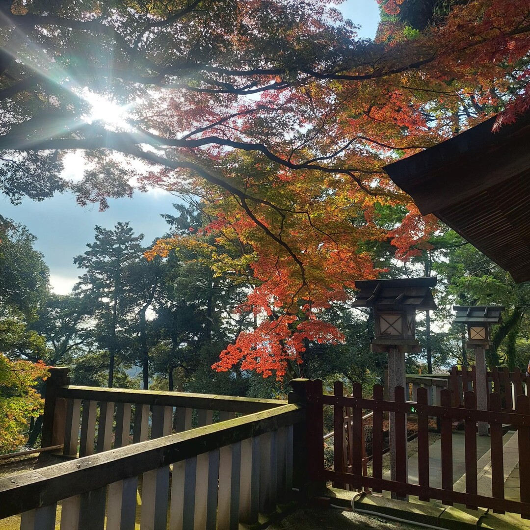 唐沢山 / Hideki V45さんの三毳山の活動データ | YAMAP / ヤマップ