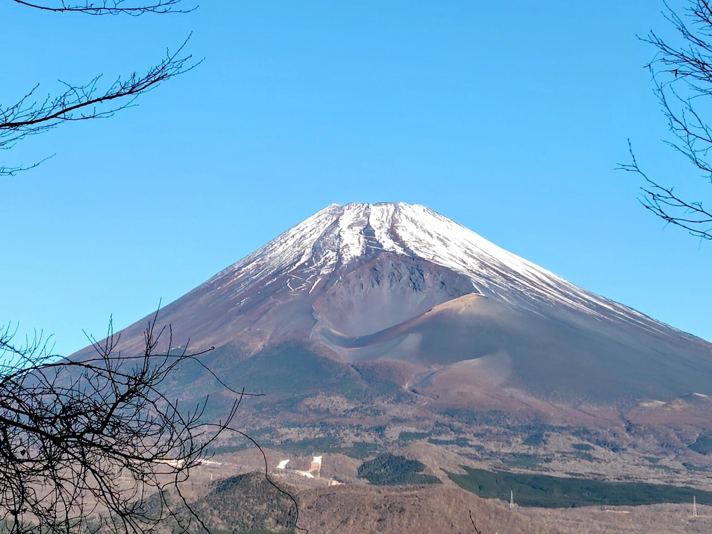 登り納め 愛鷹山で BIG富士🗻 / JUNさんの愛鷹山・大岳・黒岳の活動データ | YAMAP / ヤマップ
