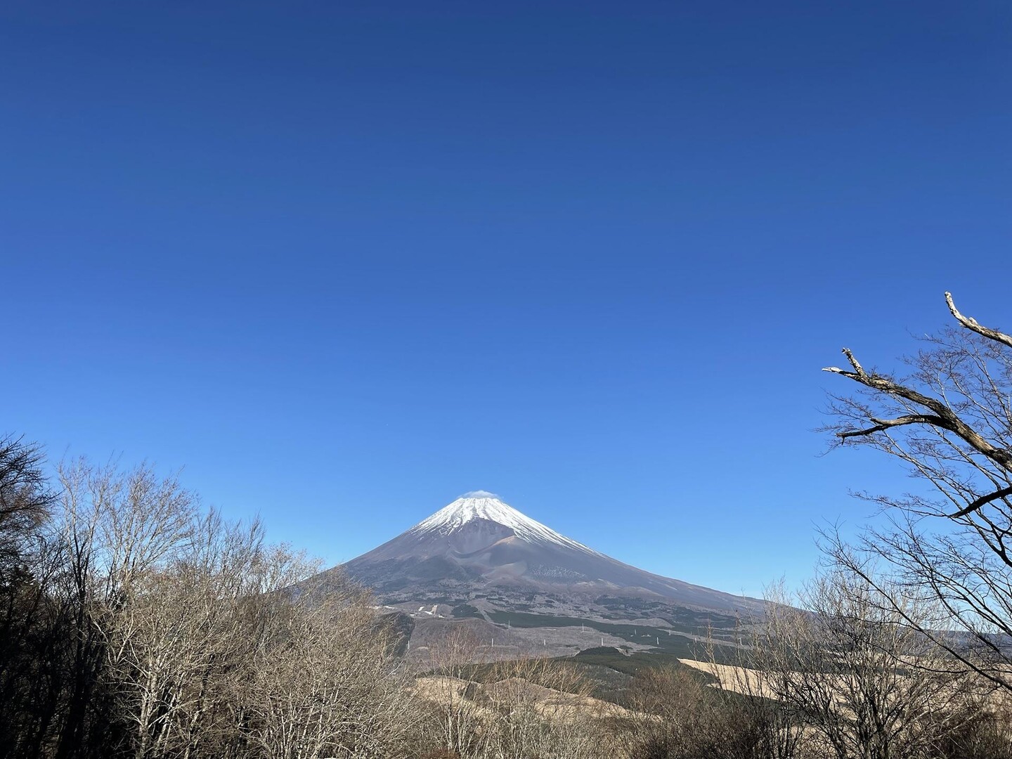 黒岳・越前岳 / maikoさんのFUJISAN LONG TRAIL（愛鷹・富士南麓エリア SOUTH）の活動データ | YAMAP / ヤマップ