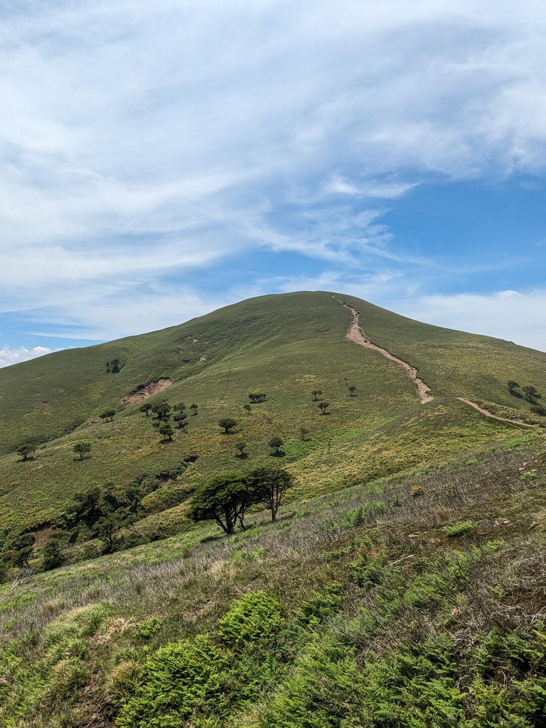 竜ヶ岳 / SHUNさんの竜ヶ岳の活動データ | YAMAP / ヤマップ