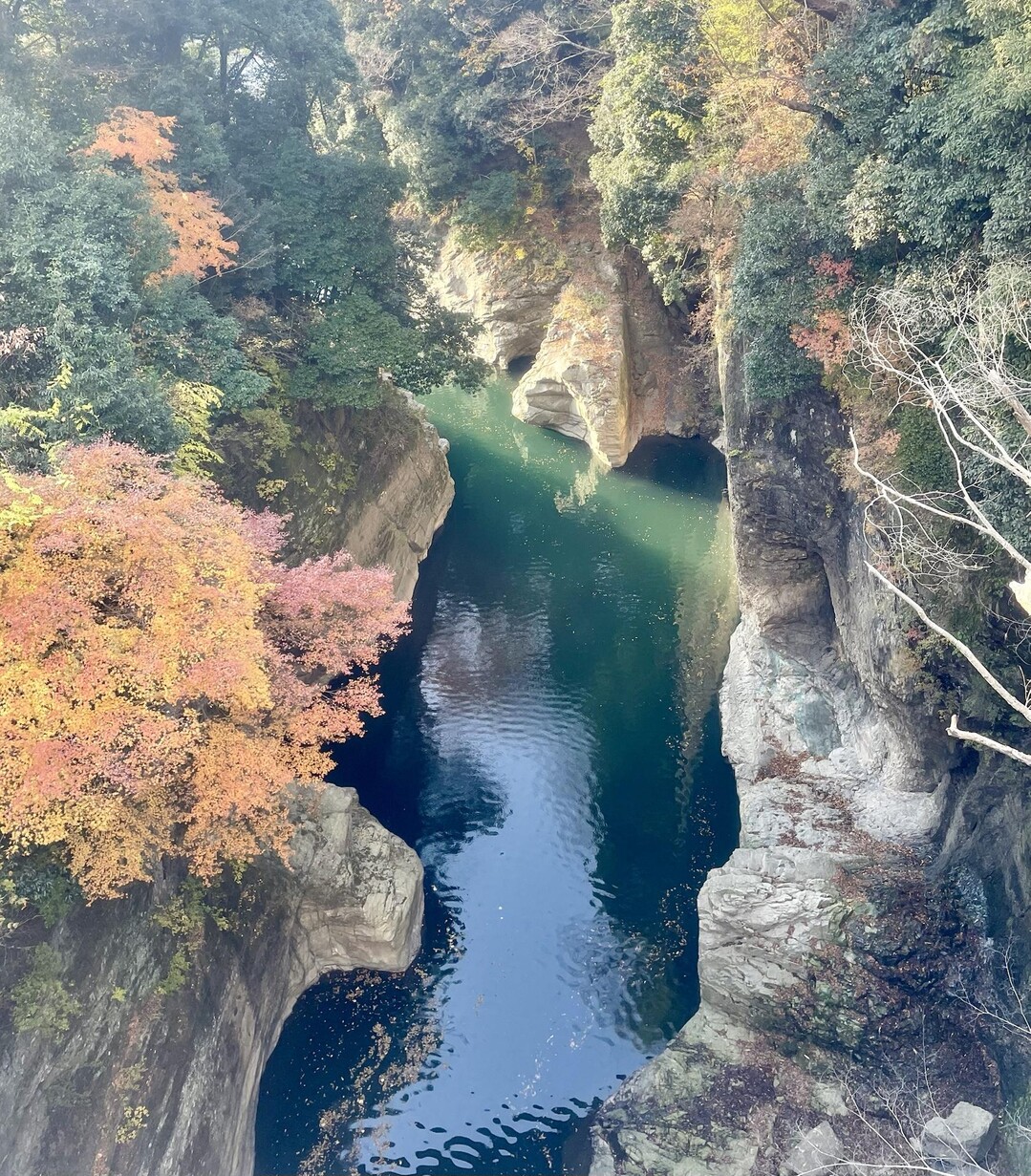 扇山から百蔵山縦走と名勝猿橋 / kglicooさんの百蔵山・扇山・権現山の活動データ | YAMAP / ヤマップ