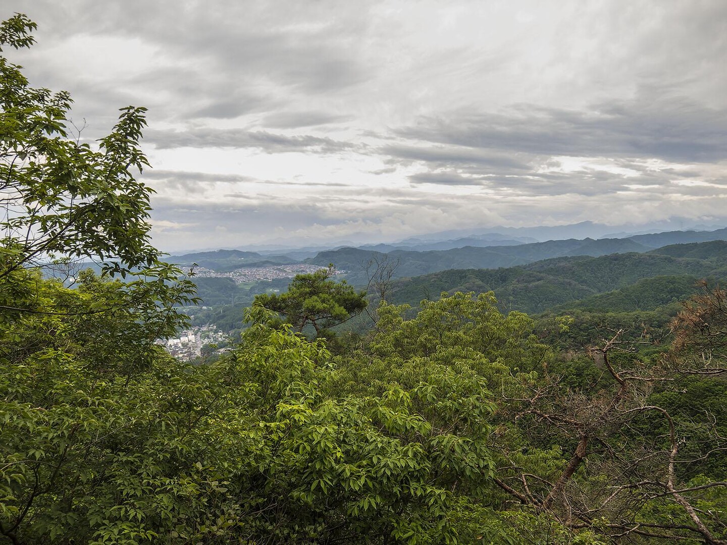 梅雨の止み間にトレーニング / zukiさんの日和田山・物見山の活動データ | YAMAP / ヤマップ