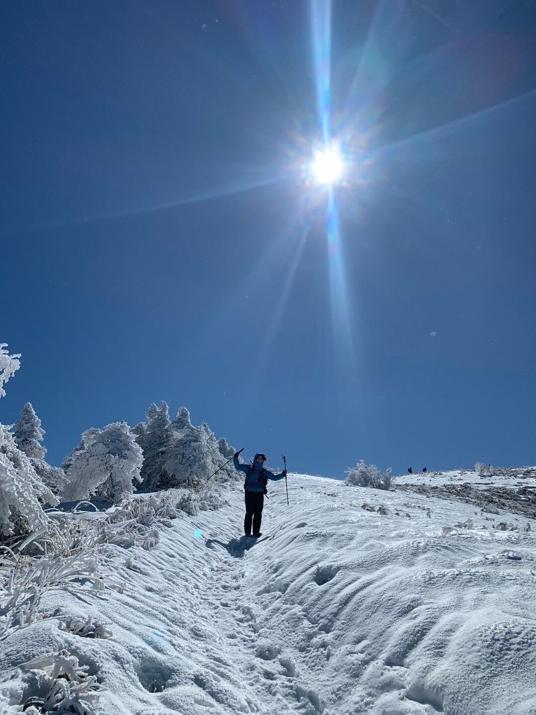 南沢山・横川山（湯舟沢山） / Yu-min.Kさんの恵那山・大判山・神坂山の活動データ | YAMAP / ヤマップ