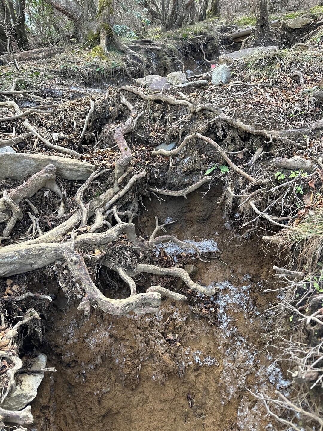 ansoさんの投稿したフィールドメモ | YAMAP / ヤマップ