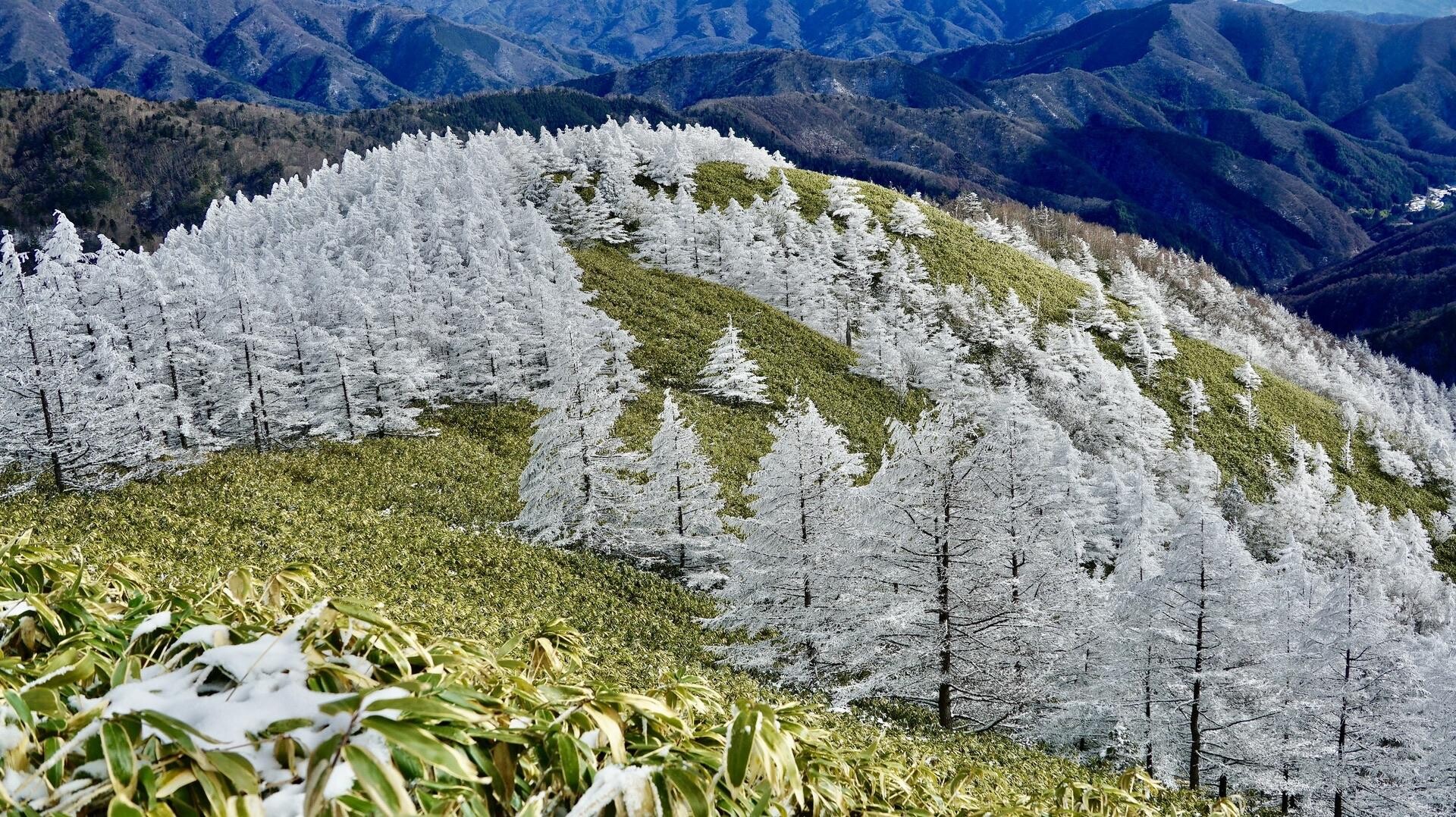 happy🎉Merry X'mas🎄南沢山〜富士見台🗻 / そらさんの恵那山・大判山・神坂山の活動データ | YAMAP / ヤマップ