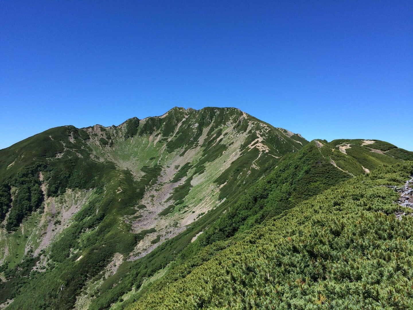#山にハマった瞬間 長い梅雨がやっと明け... / Ken miuさんのモーメント | YAMAP / ヤマップ