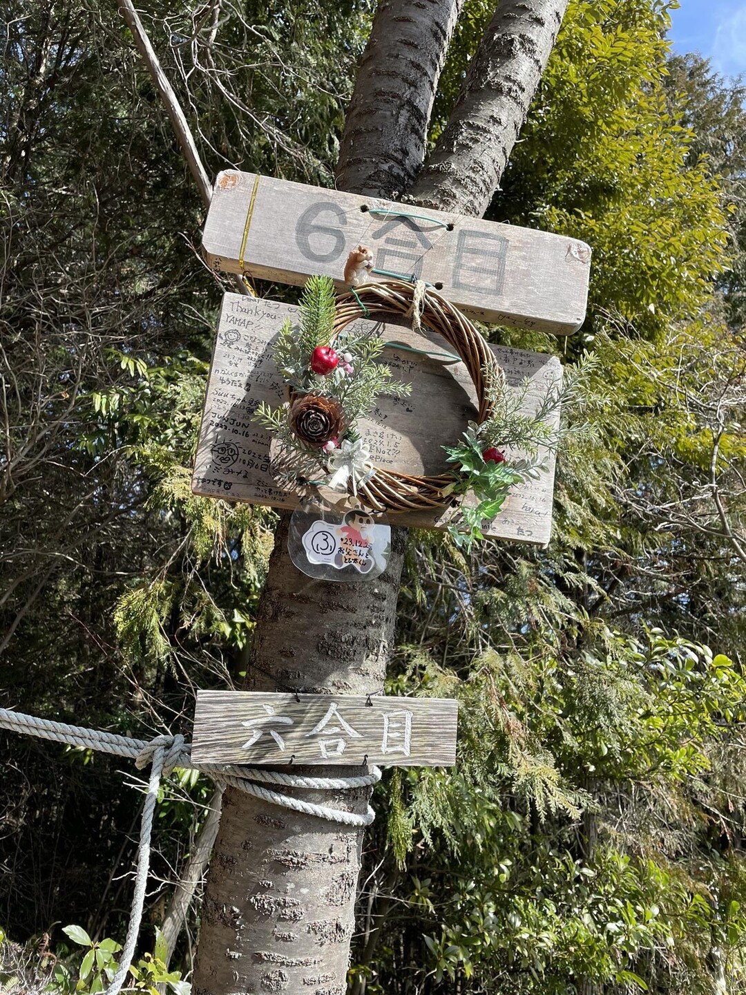ヤマスタ💮GET ️多度山 / mi-oさんの多度山・美濃松山・石津御嶽の活動データ | YAMAP / ヤマップ