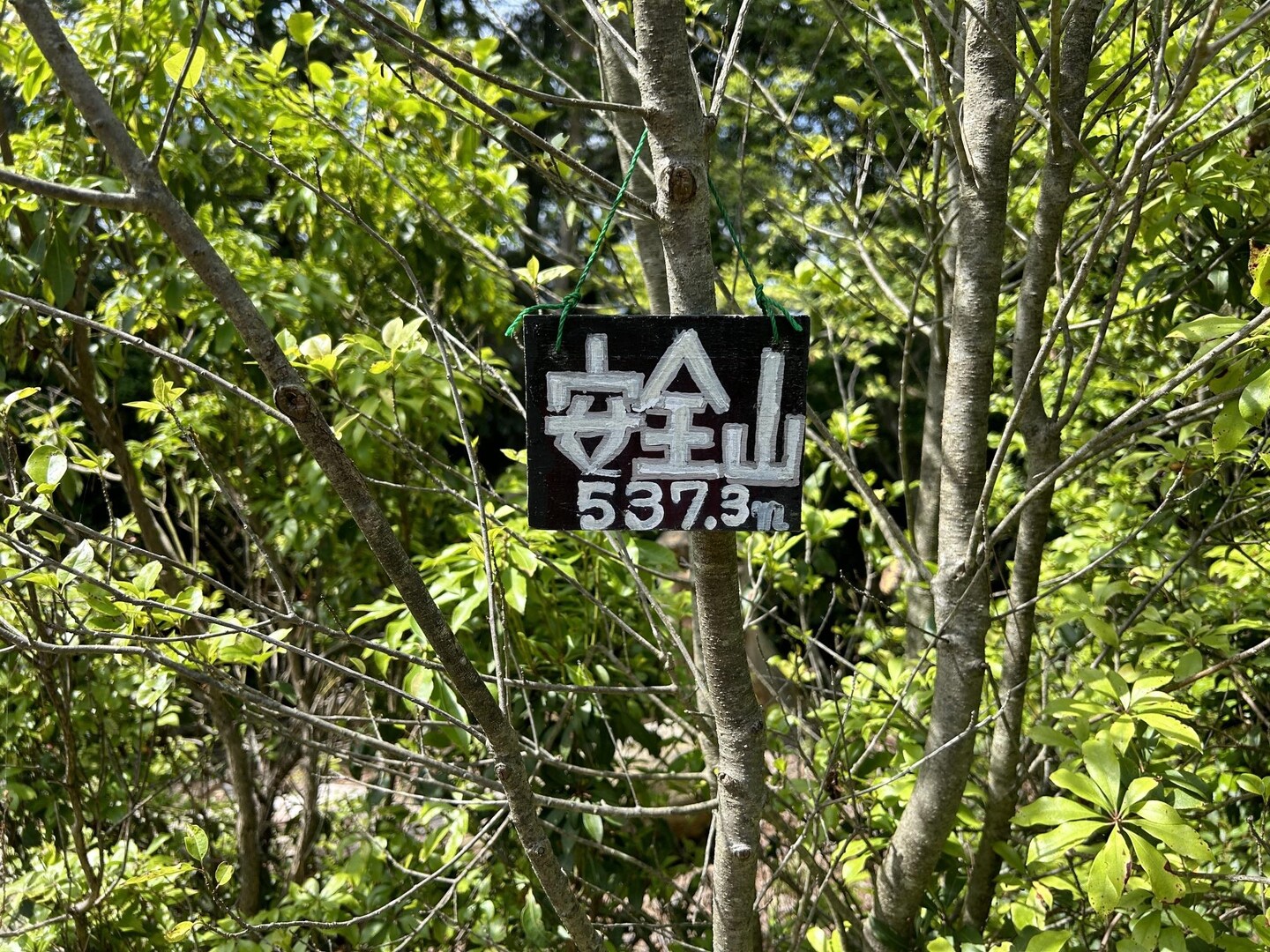 TAMBA100K【DNF】 / tomokiさんの五台山・親不知・城山（猪ノ口山）の活動データ | YAMAP / ヤマップ