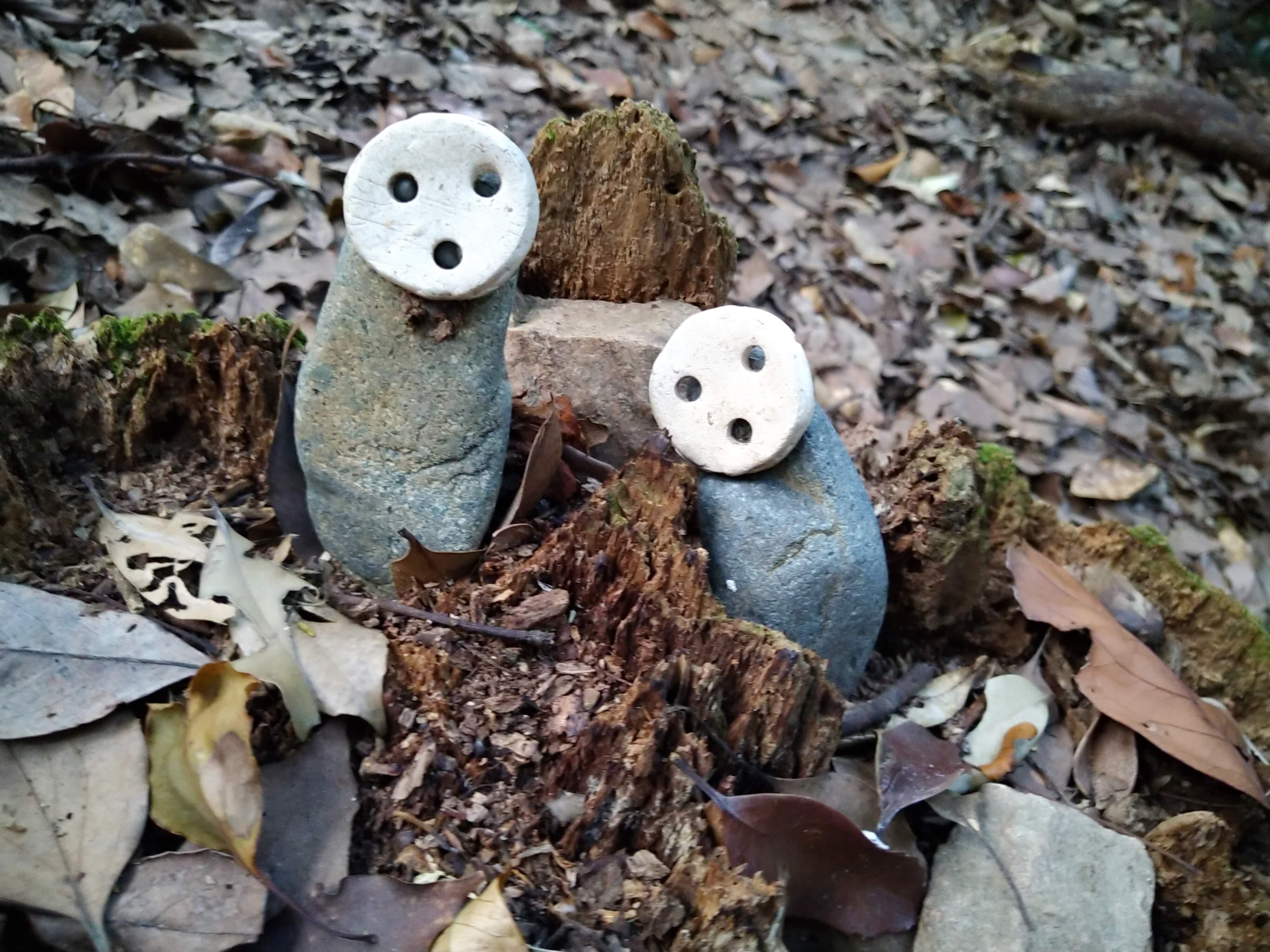 許斐山でも頭キィーン / ryuchanさんの許斐山の活動データ | YAMAP / ヤマップ