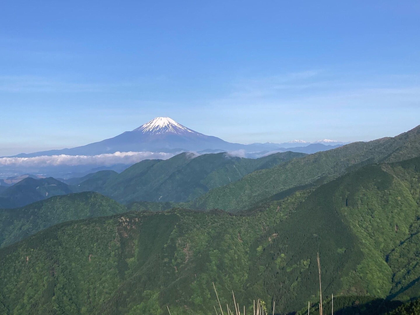 早朝の三ノ塔RUN☀️ / nem&samさんの塔ノ岳・丹沢山・蛭ヶ岳の活動データ | YAMAP / ヤマップ