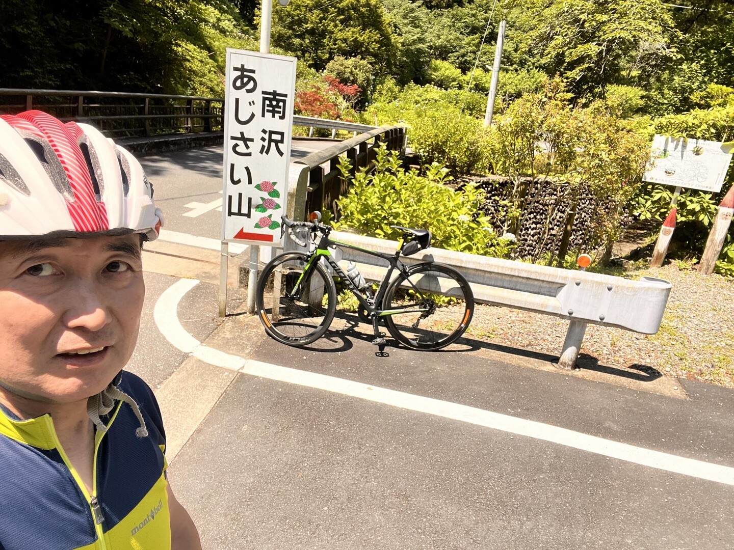 ロードバイクで南沢あじさい山 / kpk_cooさんのランニングの活動データ | YAMAP / ヤマップ