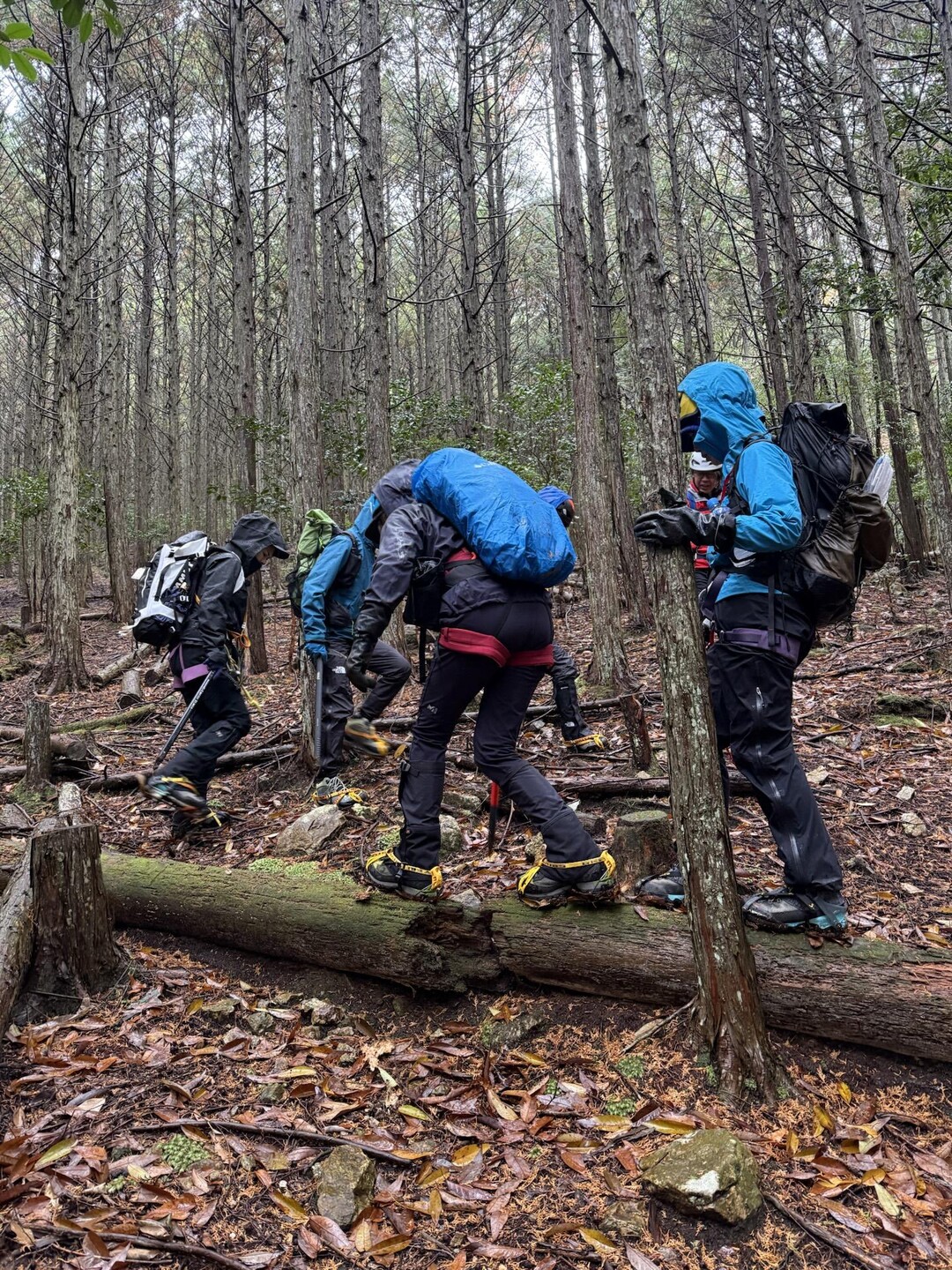 京都府山岳連盟主催のアイゼントレーニング... / ryosui_ さんのモーメント | YAMAP / ヤマップ