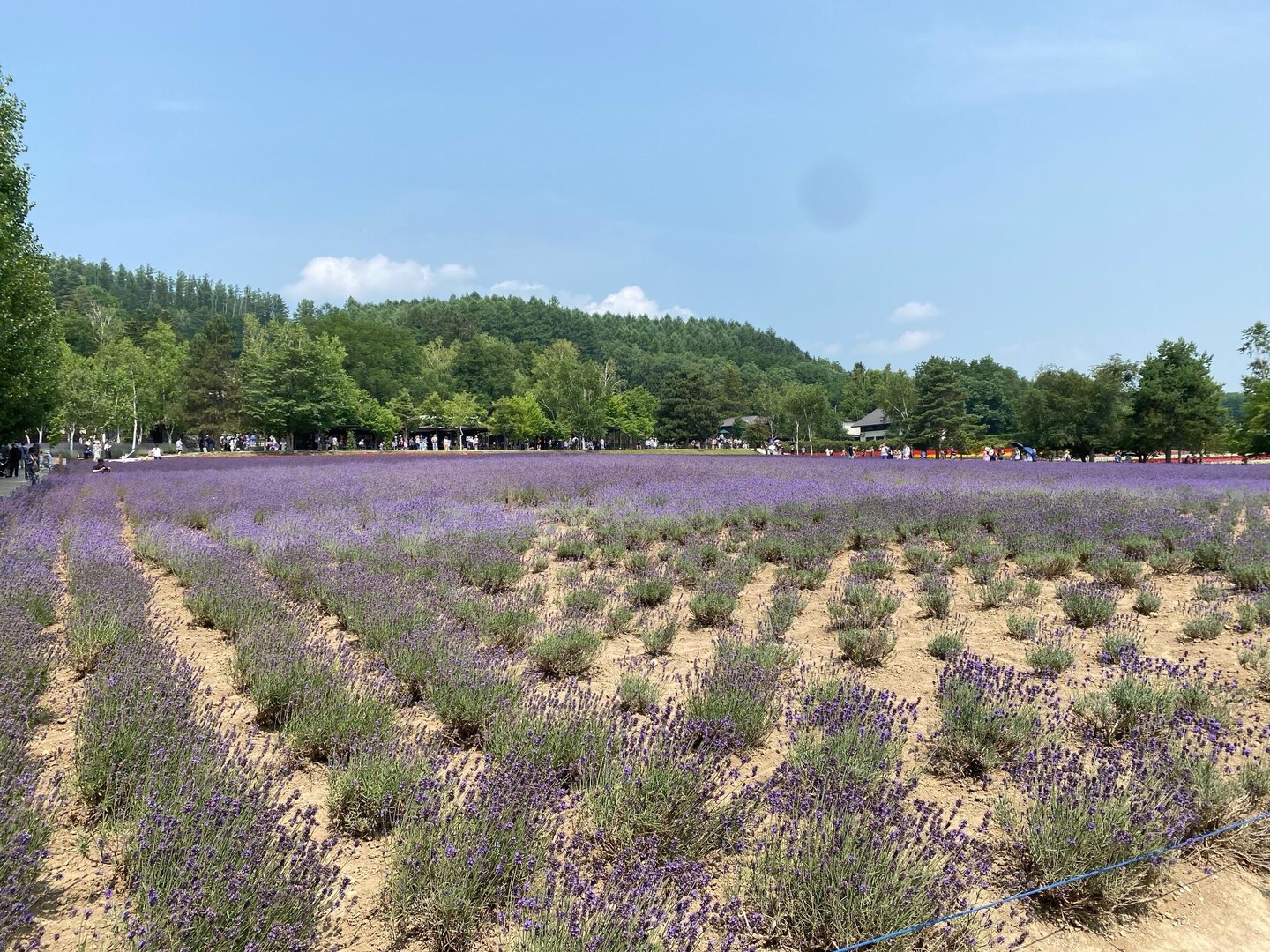 冨田ファーム / Bull&Umiさんのウォーキングの活動データ | YAMAP / ヤマップ