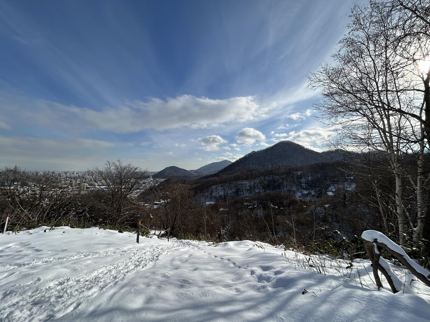 病み上がりに寺口山へ♪ / rucolaさんの三角山・大倉山・円山の活動データ | YAMAP / ヤマップ
