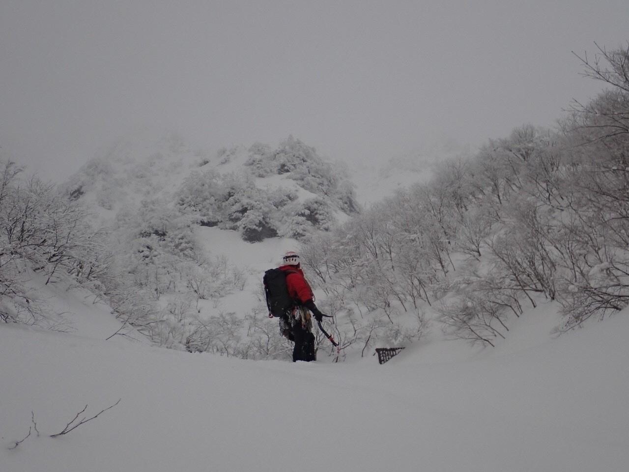 【Alpine】伯耆大山 北壁・天狗沢 ＆ 8合尾根 / みっつーさんの鳥取市の活動データ | YAMAP / ヤマップ
