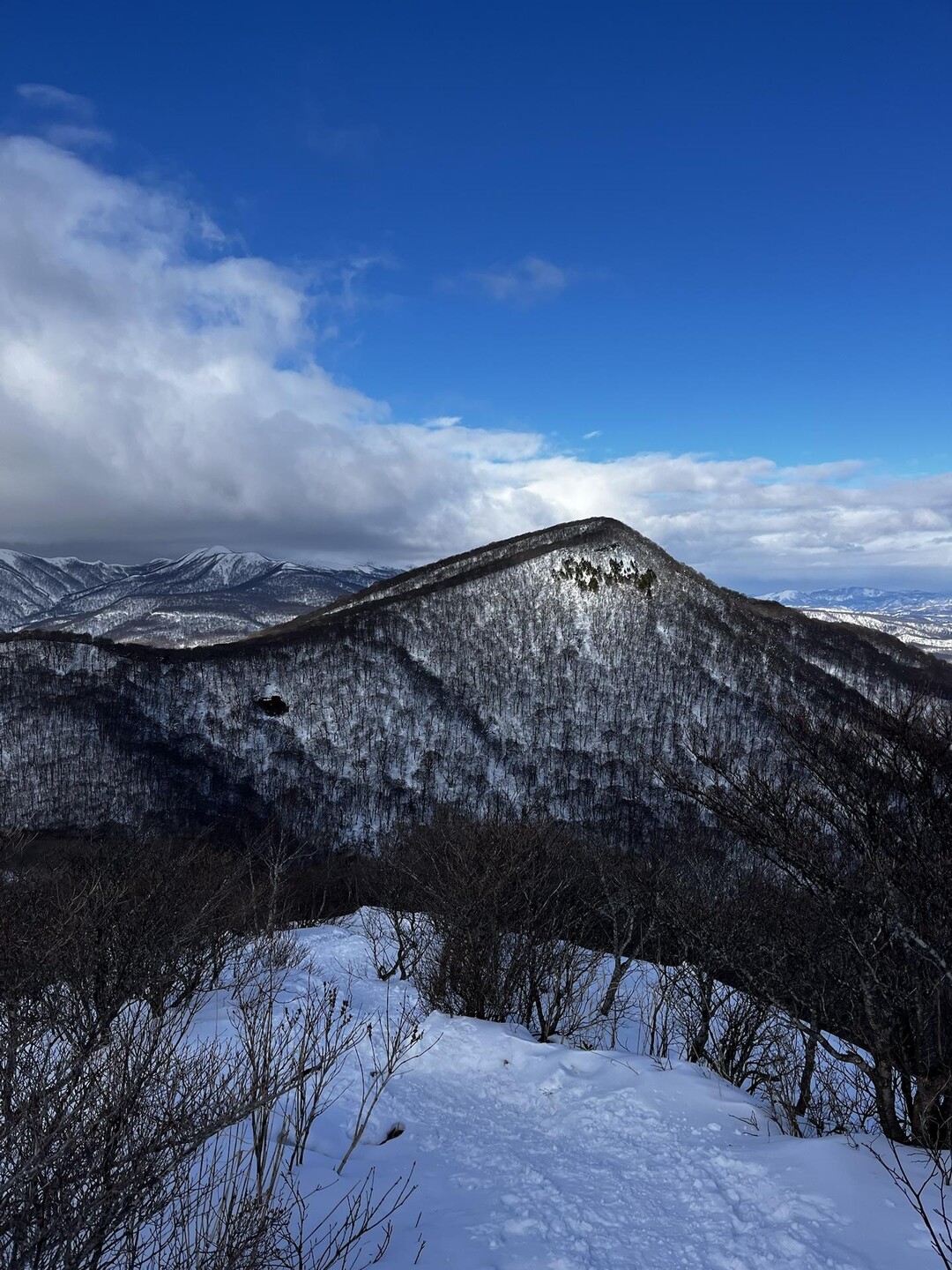 one step forward！ / シュウさんの船形山（御所山）・泉ヶ岳・蛇ヶ岳の活動データ | YAMAP / ヤマップ