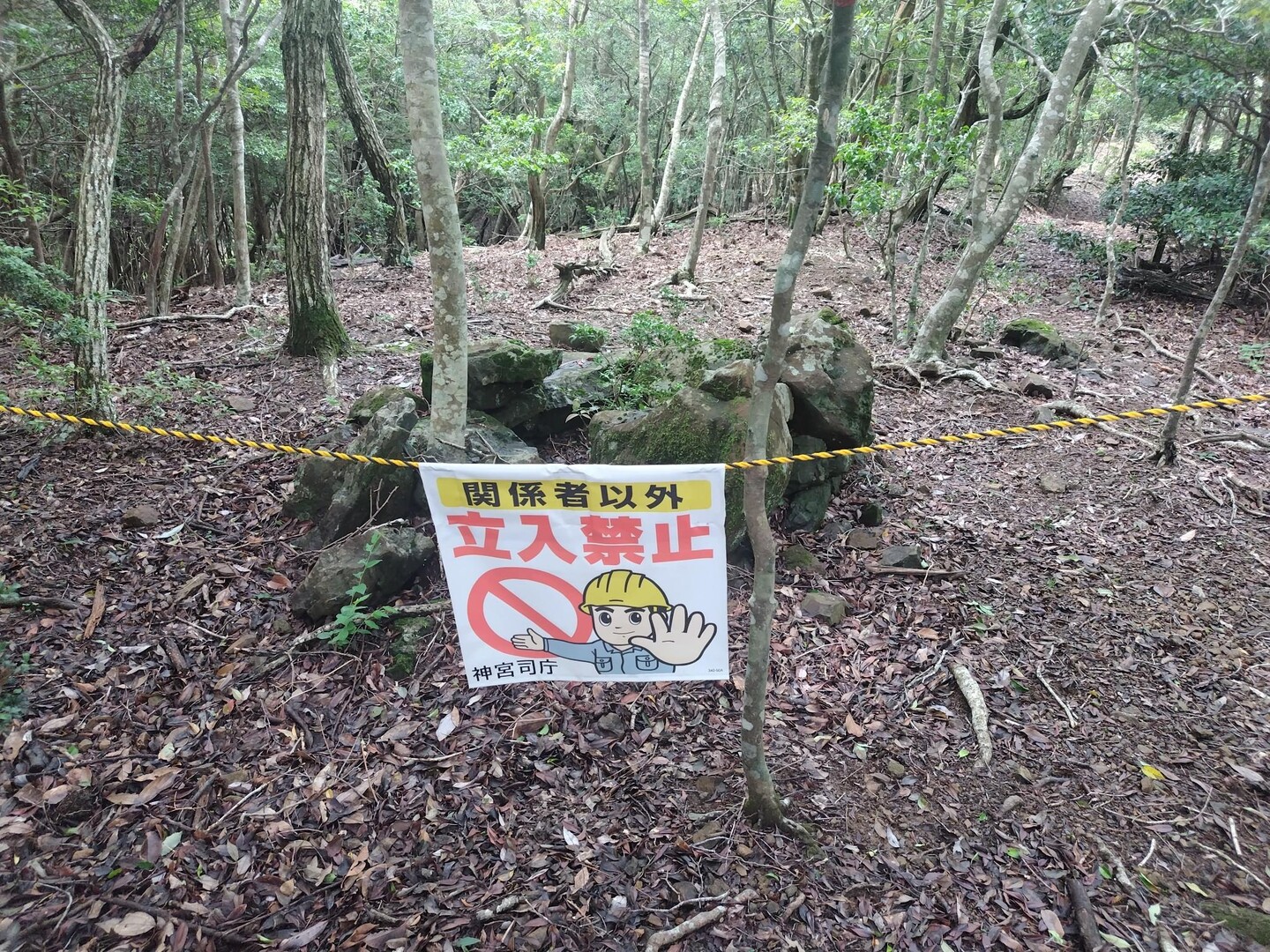 鼓ヶ岳・鼓ヶ岳西峰 この先🈲通行禁止 / YHさんの熊野古道 伊勢路①の活動データ | YAMAP / ヤマップ