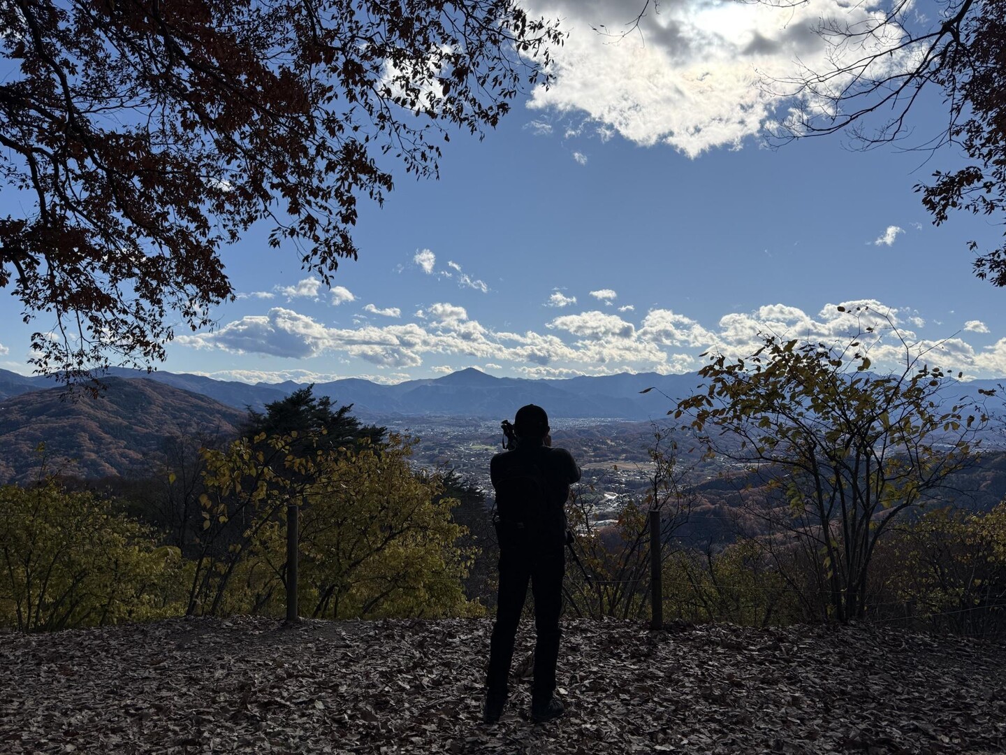 宝登山・長瀞アルプス / atsuさんの登山の活動データ | YAMAP / ヤマップ