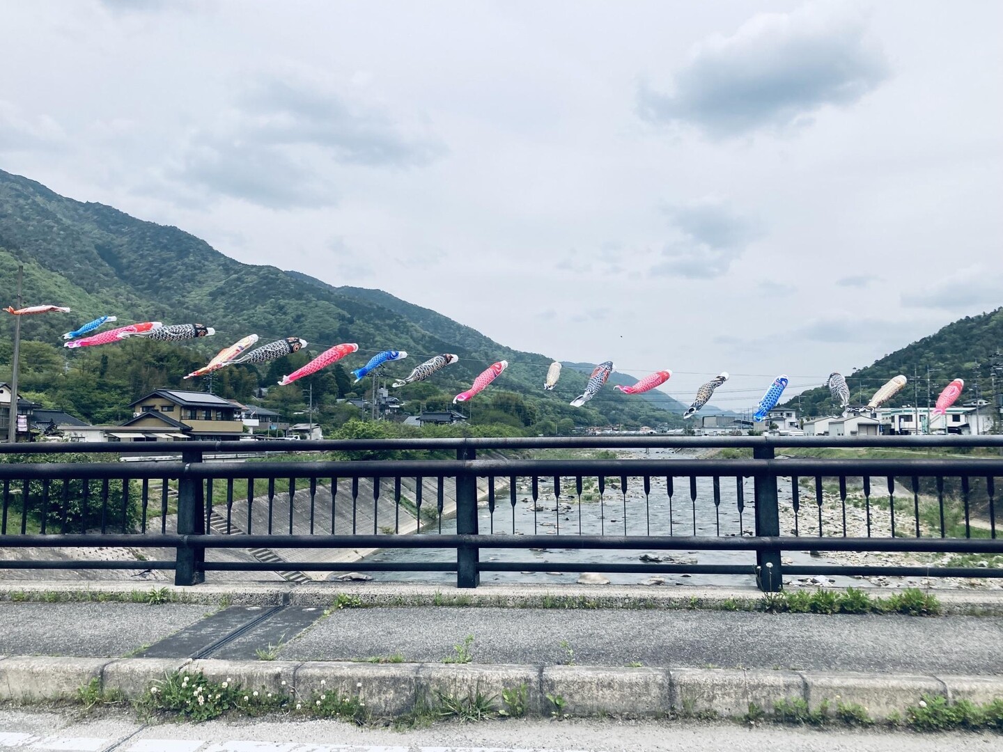 3週間ぶり 白木山 / kamexさんの白木山・高松山・鬼ヶ城山の活動データ | YAMAP / ヤマップ