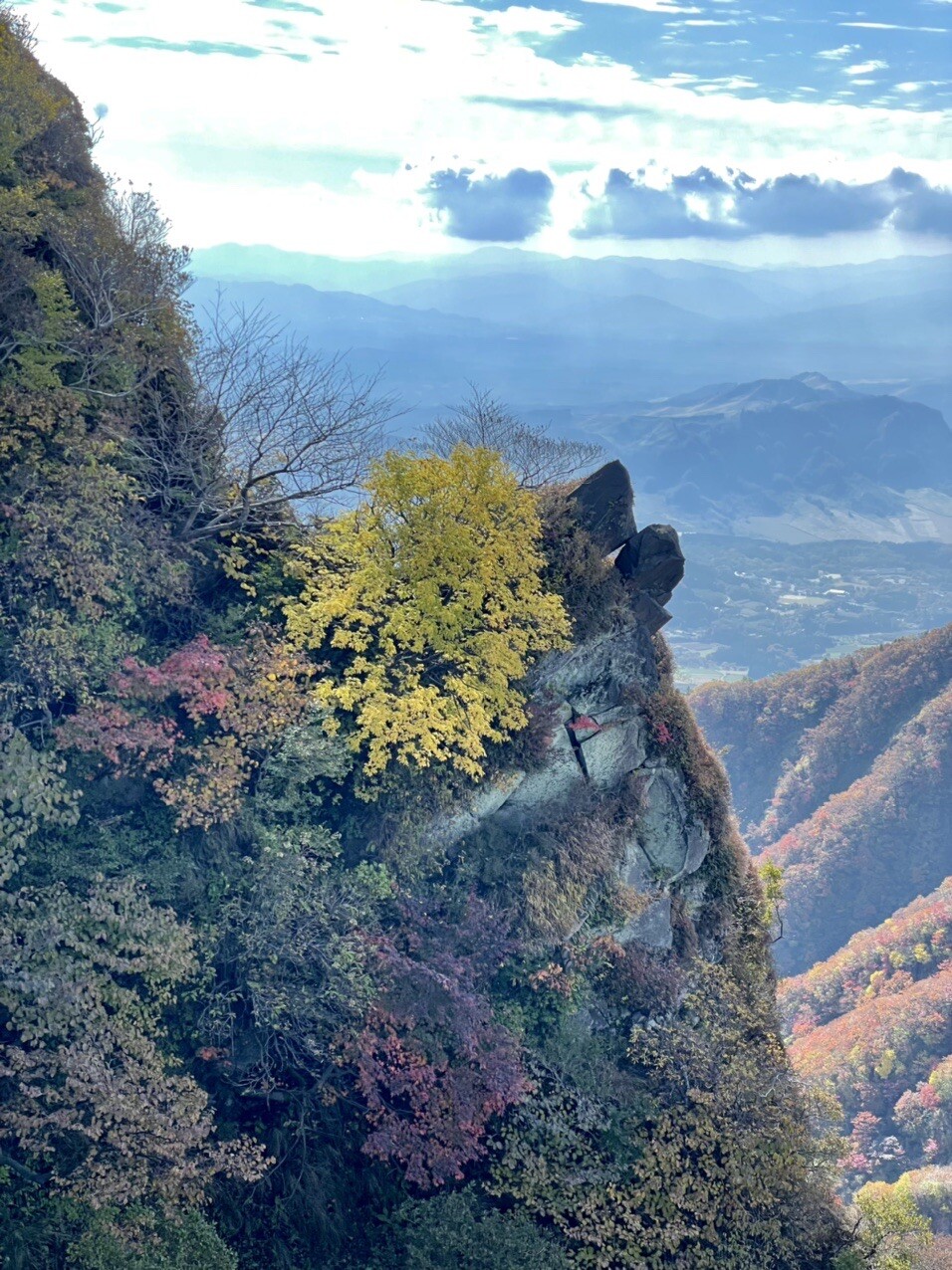 根子岳東峰 / inurfaさんの阿蘇山・高岳・根子岳の活動データ | YAMAP / ヤマップ