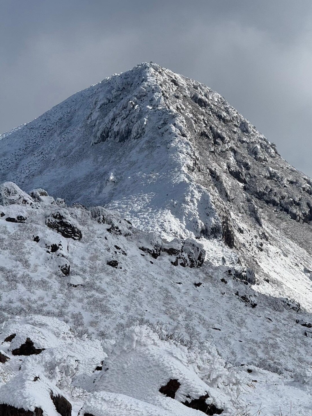沓掛山・天狗ヶ城・中岳 / amyさんの九重山（久住山）・大船山・星生山の活動日記 | YAMAP / ヤマップ