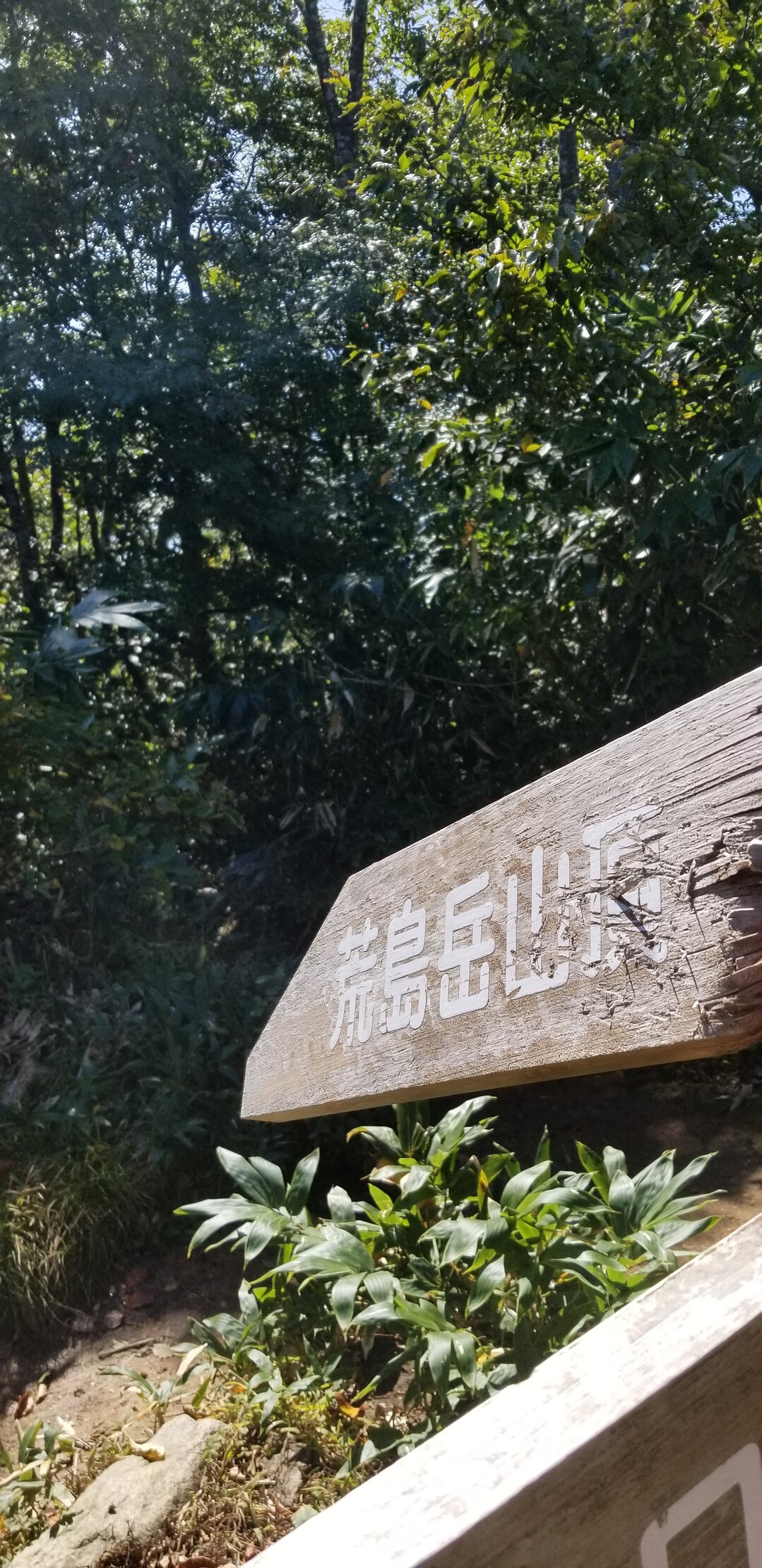 荒島岳｡中出コース-2019-10-09 / guriko5さんの荒島岳の活動データ | YAMAP / ヤマップ