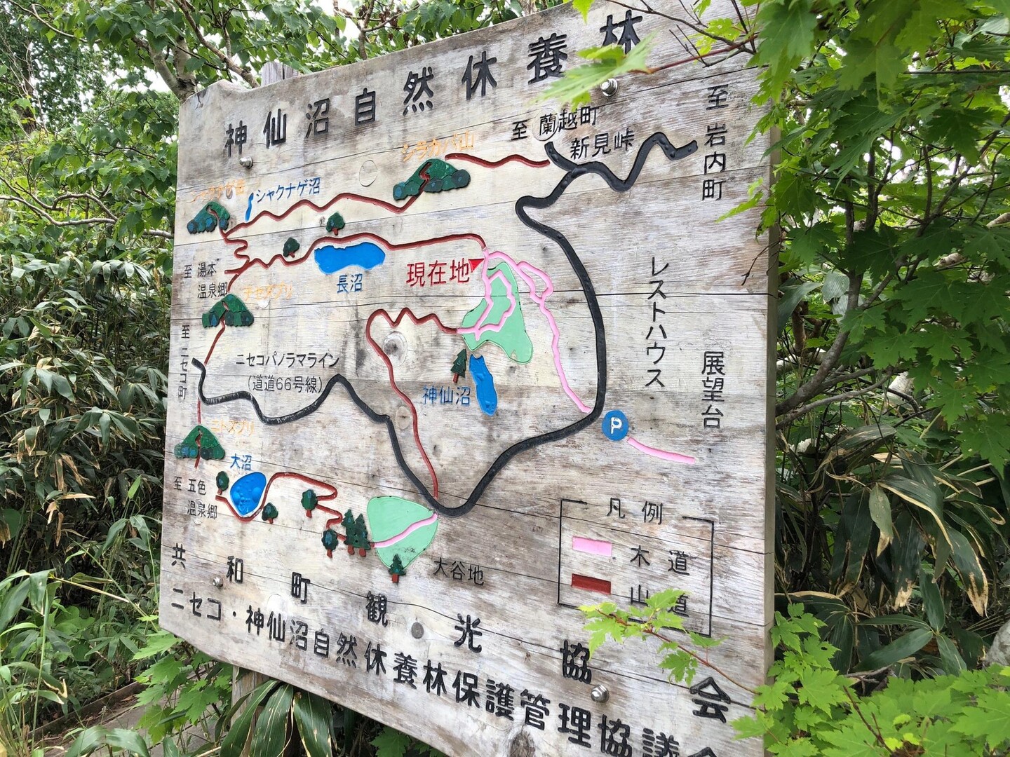 五色温泉から神仙沼 / katuraさんのニセコアンヌプリ・イワオヌプリ・チセヌプリの活動データ | YAMAP / ヤマップ