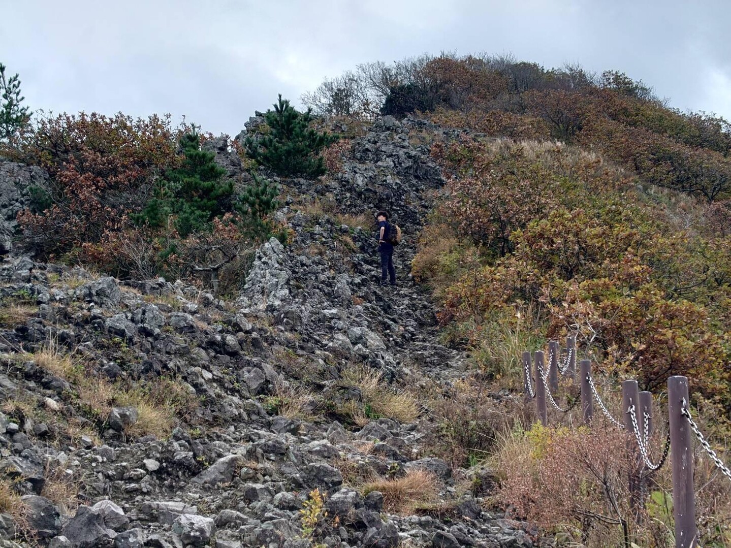 角田山（長者原山） / KKさんの角田山の活動データ | YAMAP / ヤマップ