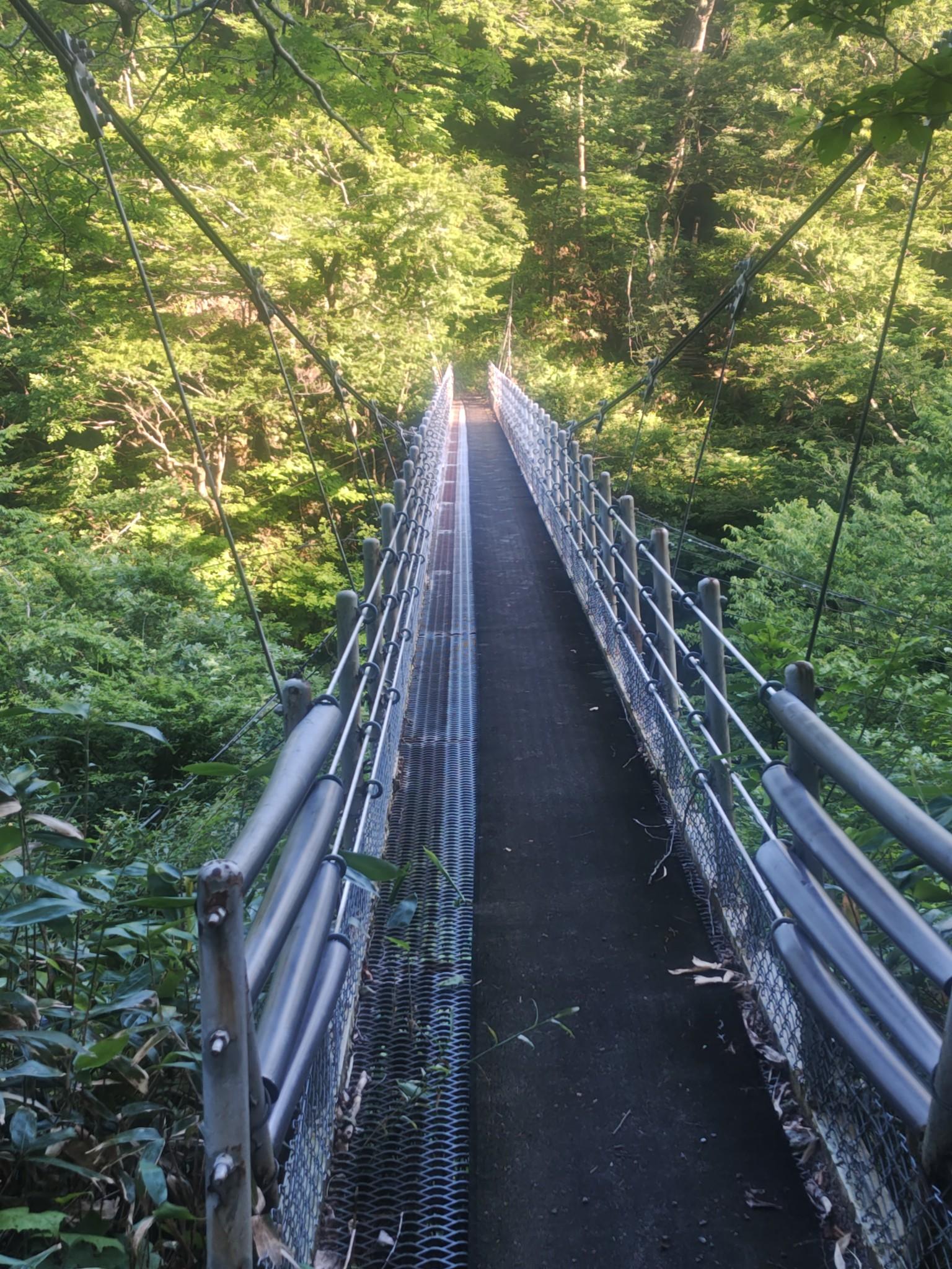 キャンプ場〜大山滝へ-2025-07-04 / gp02さんの大山・甲ヶ山・野田ヶ山の活動データ | YAMAP / ヤマップ