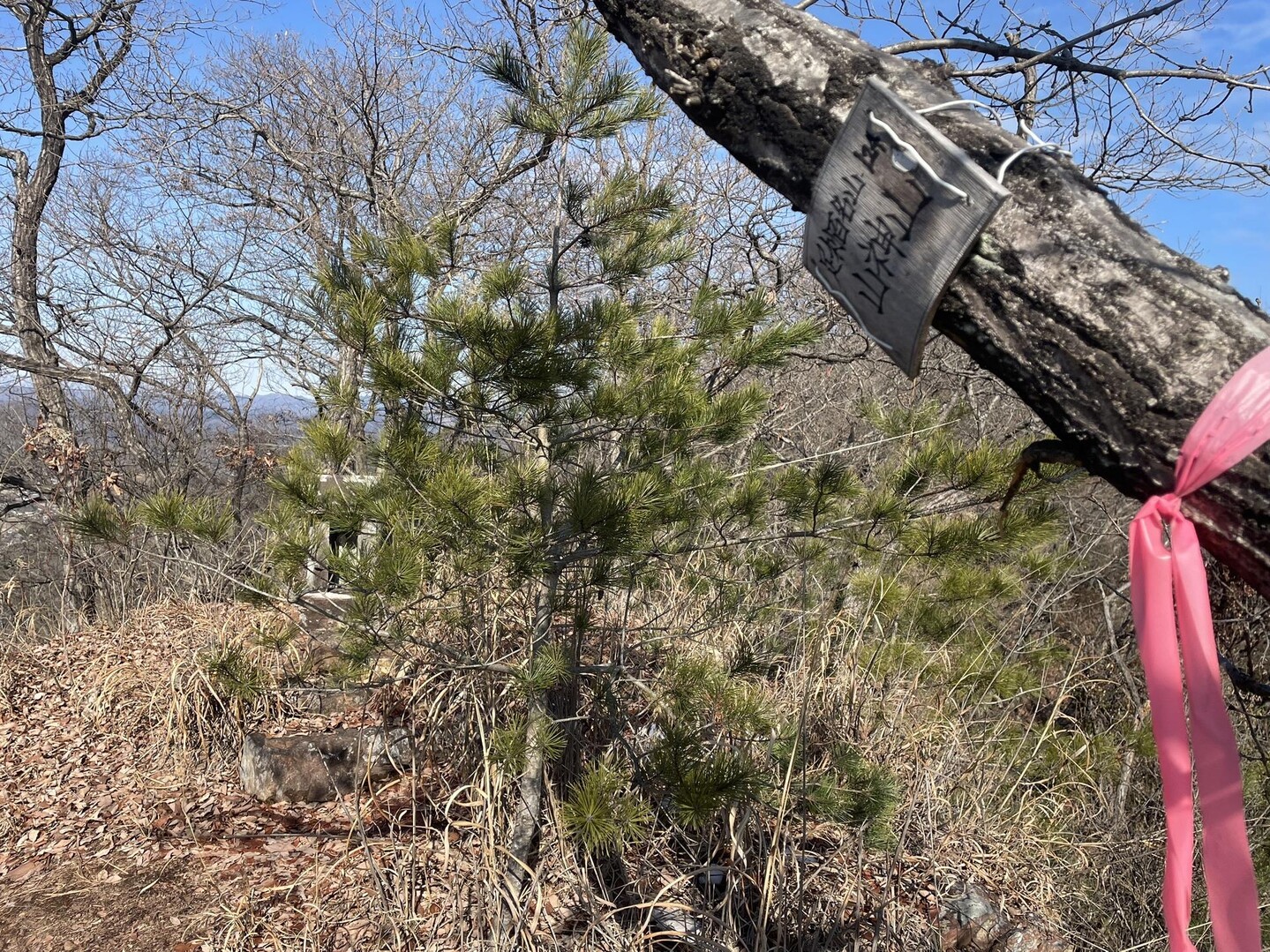 大小山・妙義山・山神山 / goriさんの大小山（妙義山）・西場富士の活動データ | YAMAP / ヤマップ