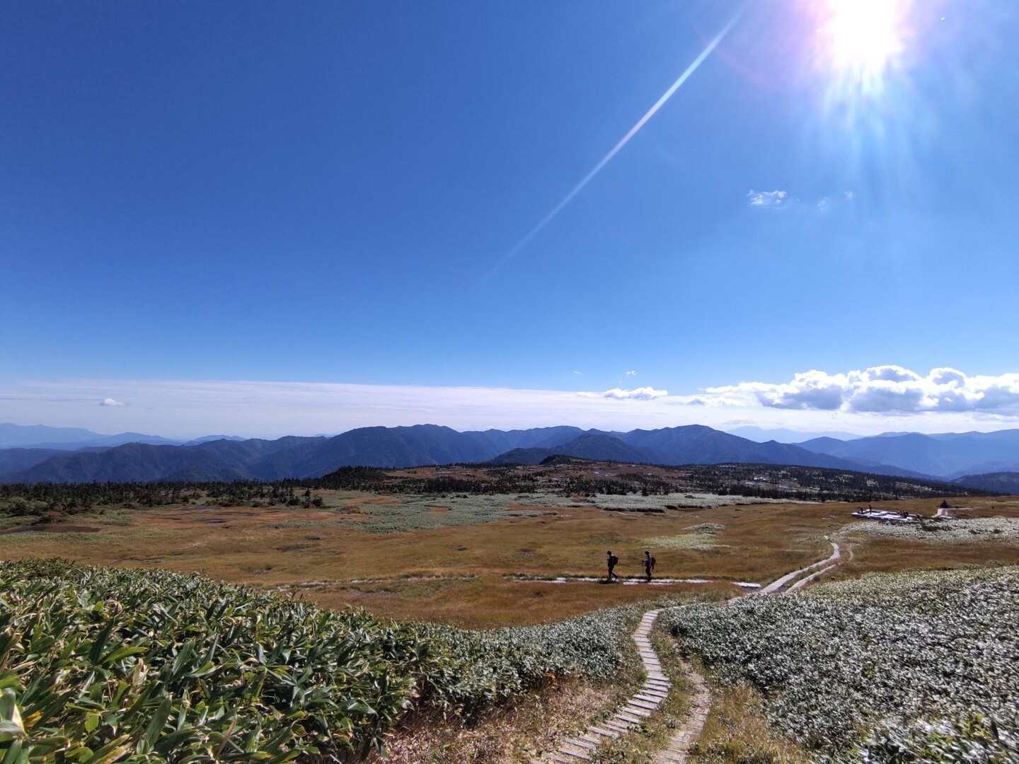 今日の苗場山は最高すぎた。次も好天に恵ま... / km117さんのモーメント | YAMAP / ヤマップ
