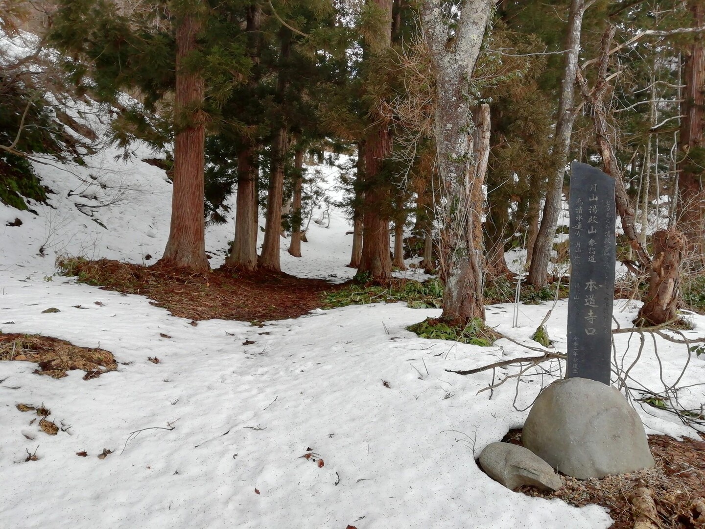 本道寺口林道トレッキング / 大黒森PJ(旧FCドロンパ)さんの月山の活動データ | YAMAP / ヤマップ