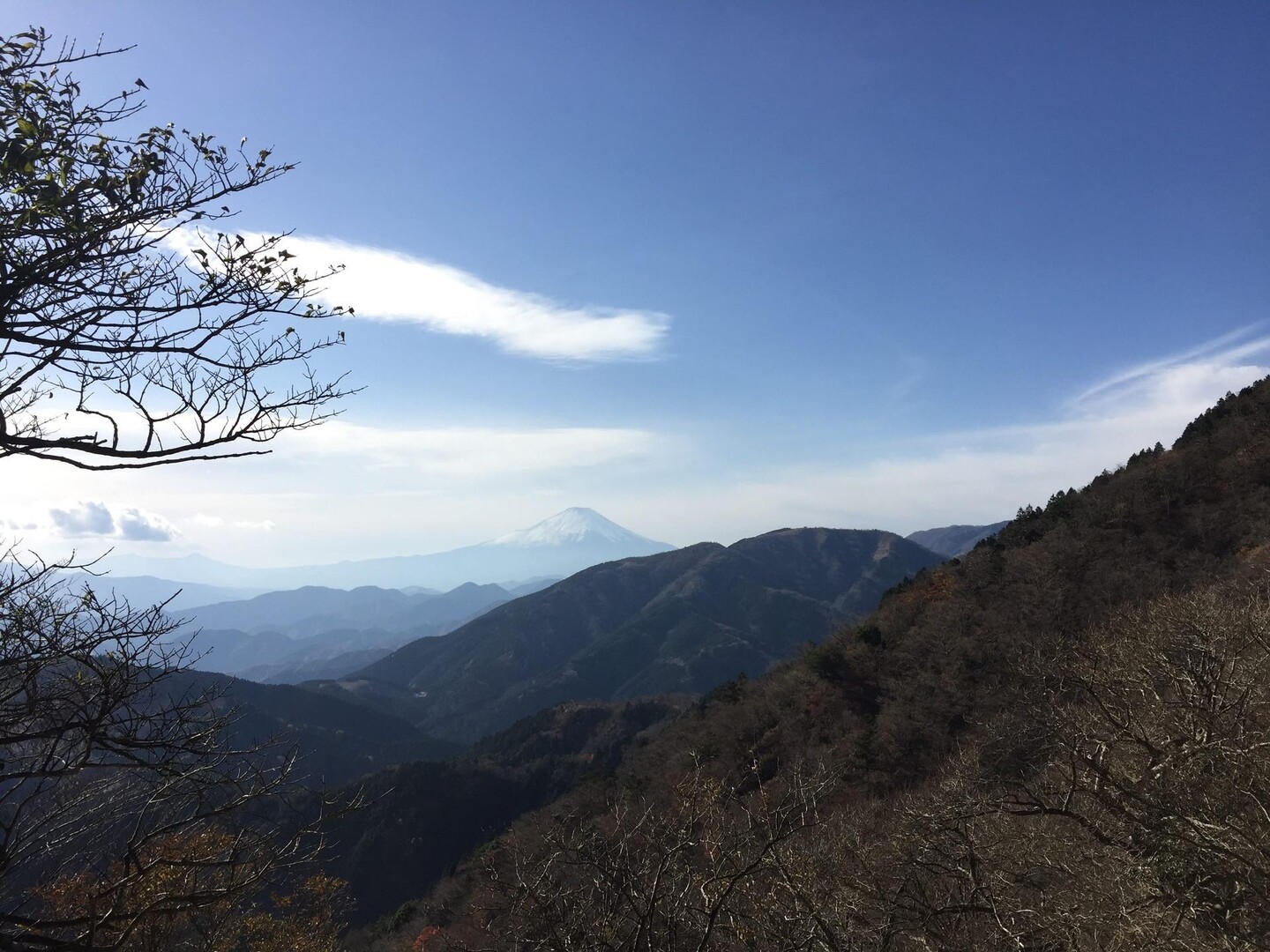 大山 / yamaikoさんの大山の活動データ | YAMAP / ヤマップ