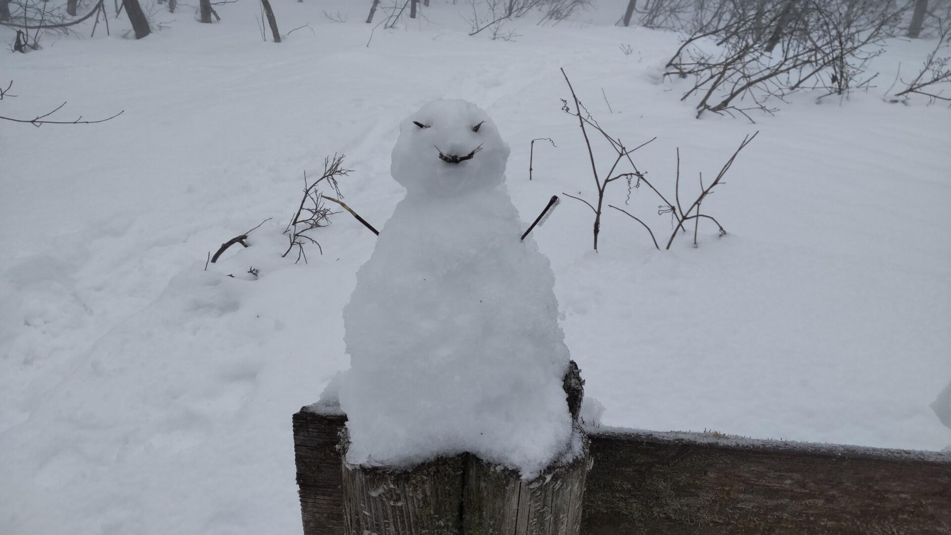雄国沼☁️ / kazeさんの磐梯山・雄国山・赤埴山の活動データ | YAMAP / ヤマップ