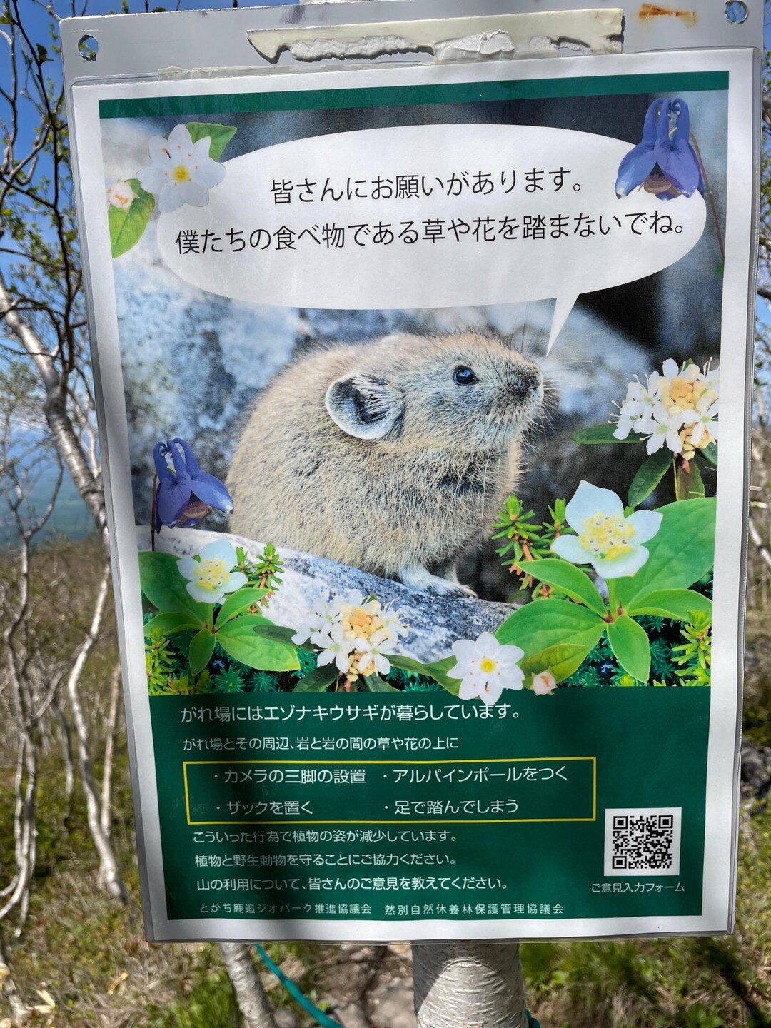 最高の天気なのに…😣東ヌプカウシヌプリ / NONさんの白雲山の活動データ | YAMAP / ヤマップ