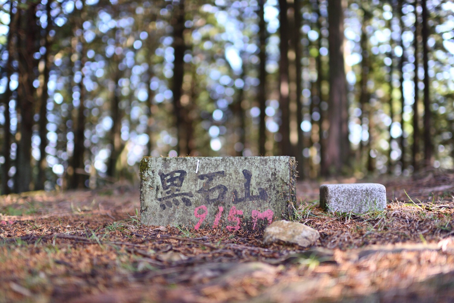 高見山・カヤノ山・天狗山・大天狗岩・船峯山・黒石山・高山 / ⛅Nori-jiさんの高見山・黒石山・天狗山の活動データ | YAMAP / ヤマップ