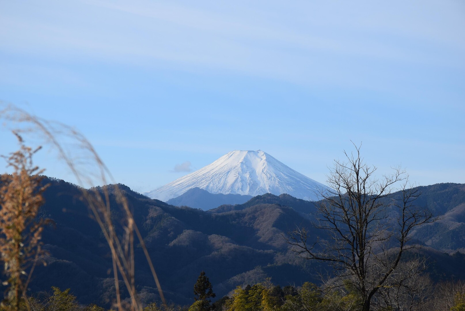 2024年登り納め、喰い納め？ 扇山、百蔵山。からの～ぶっ豚🐷 / ritchさんの百蔵山・扇山・権現山の活動データ | YAMAP / ヤマップ