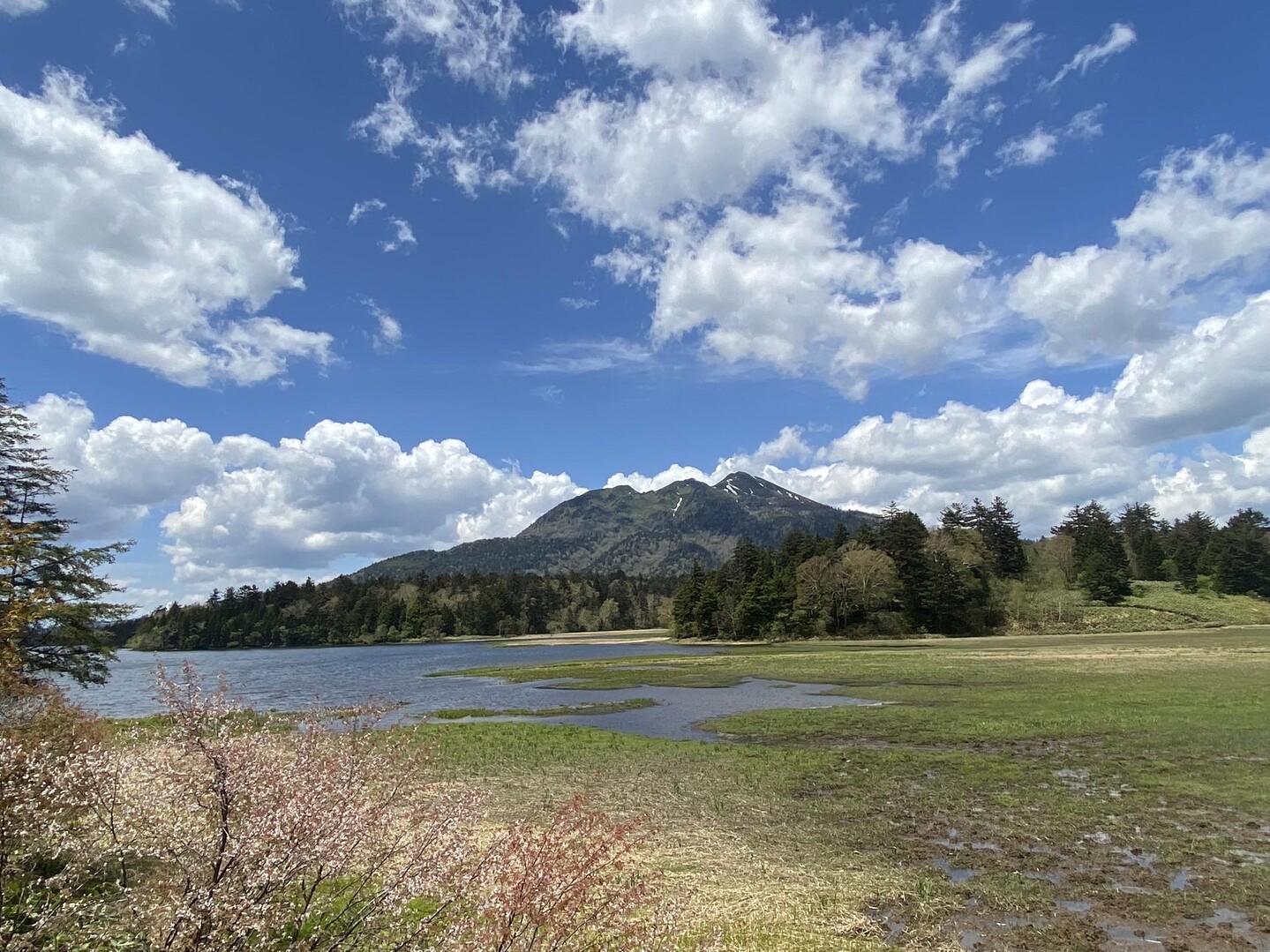 尾瀬沼周遊ハイキング / ari papaさんの尾瀬・燧ヶ岳の活動データ | YAMAP / ヤマップ