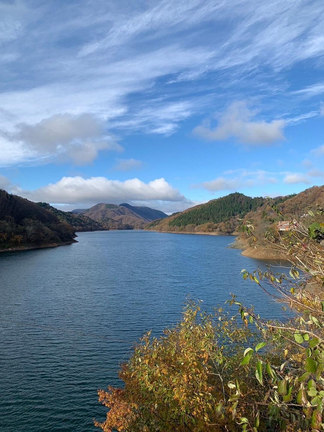 九頭竜湖の紅葉〜牧歌の里〜飛騨高山 九... / きゃんべるさんのモーメント | YAMAP / ヤマップ