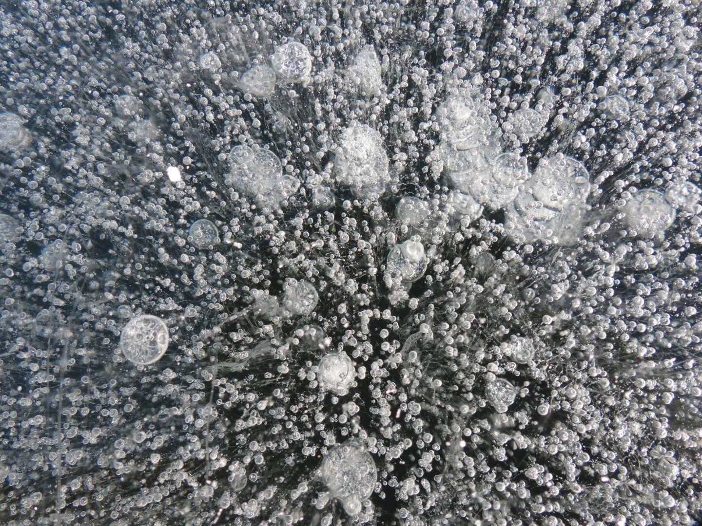 黒檜山・駒ヶ岳【R5.1】 / なり460さんの赤城山・黒檜山・荒山の活動データ | YAMAP / ヤマップ