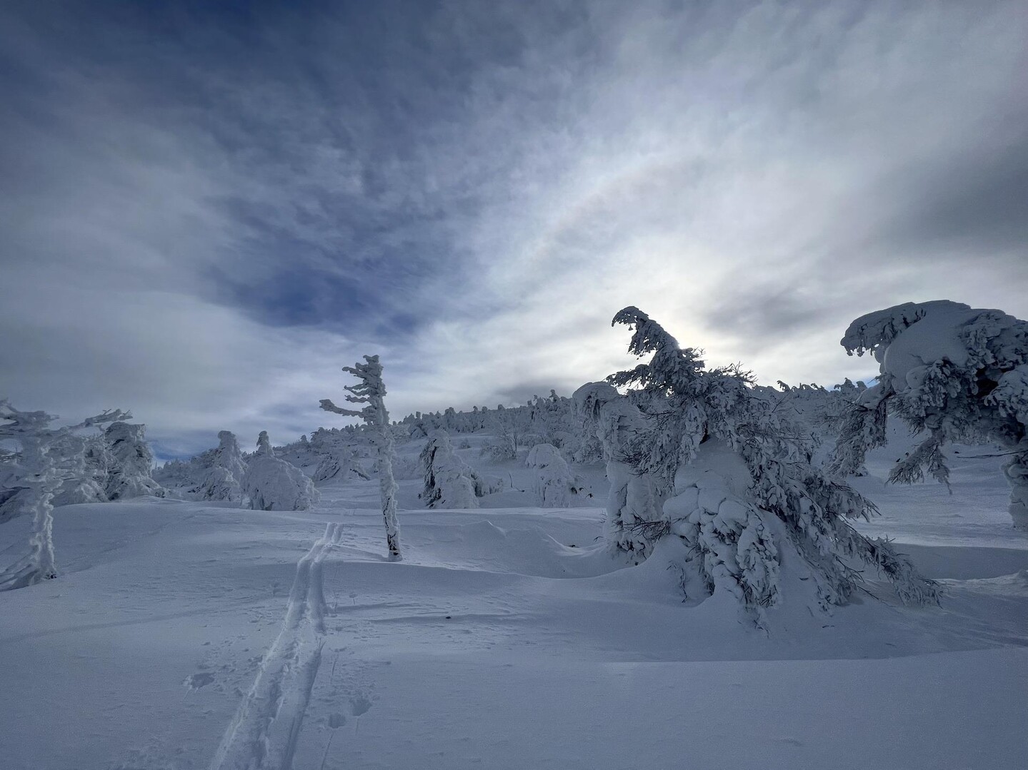 箕輪山 BC / chikaさんの安達太良山・箕輪山・鬼面山の活動データ | YAMAP / ヤマップ