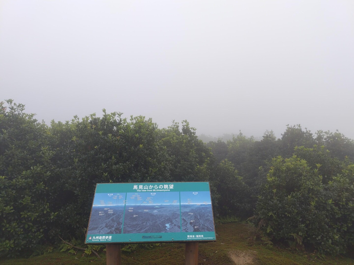 十石山〜白石山縦走からの嘉穂アルプス 〜そして傷物に〜 / honda.e1021さんの古処山・屏山・馬見山・江川岳の活動データ | YAMAP / ヤマップ