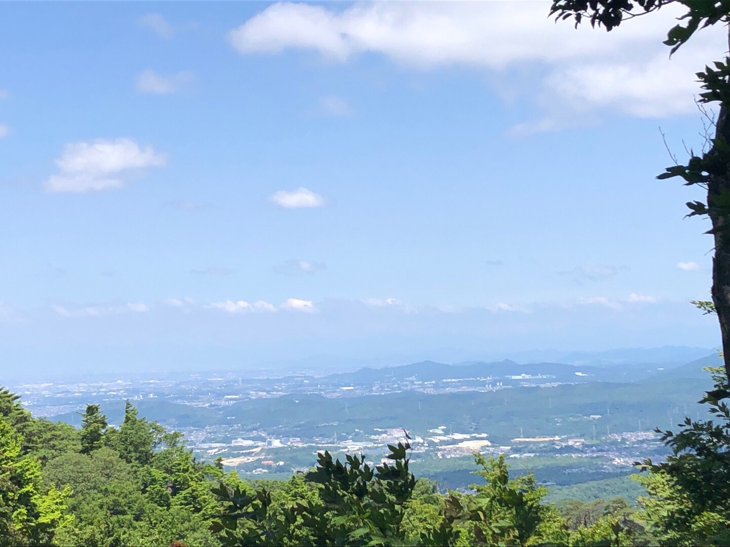 猿投山 梅雨本番前 / モタモタ鈴さんの猿投山・物見山の活動データ | YAMAP / ヤマップ